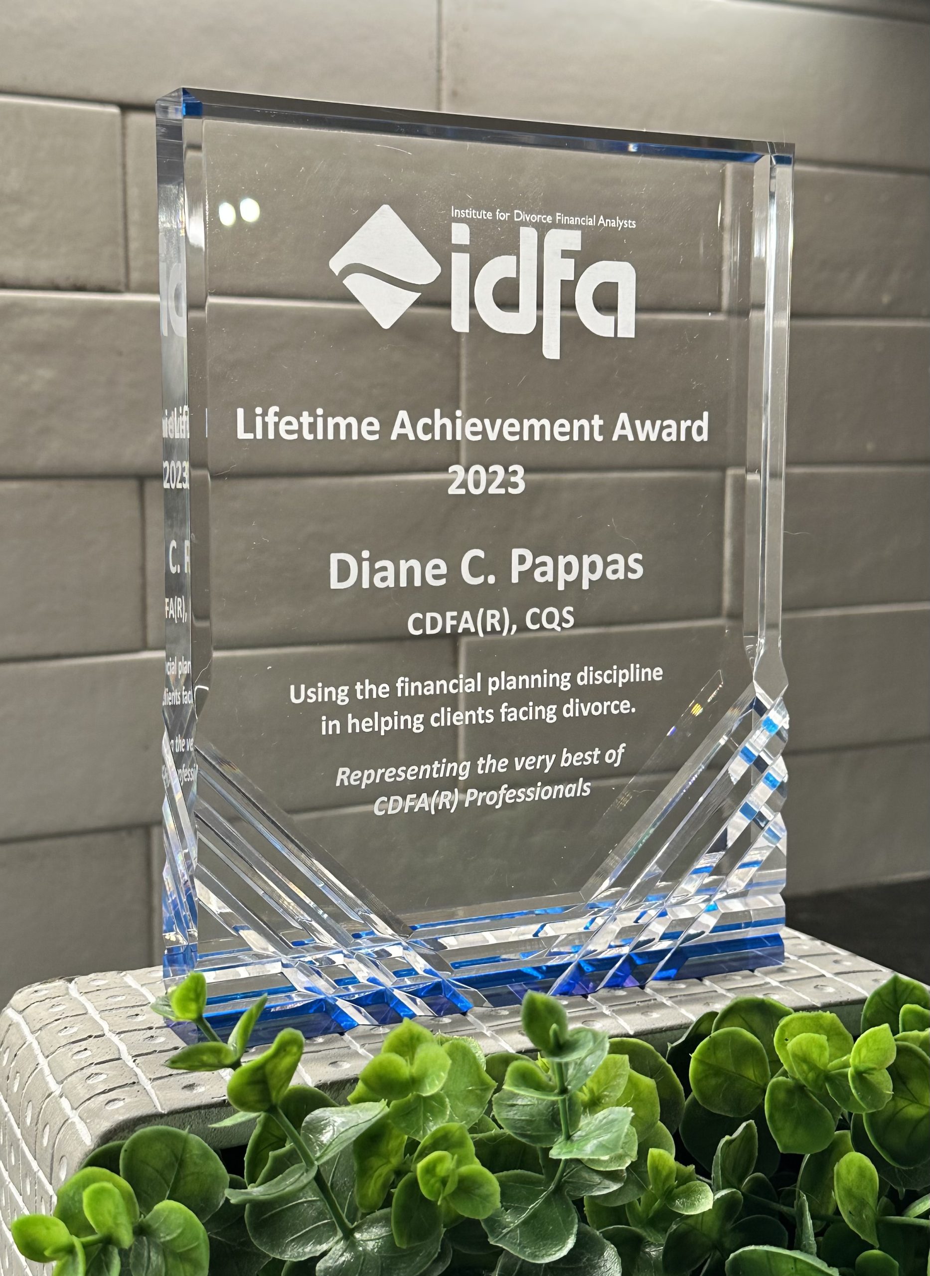 Honored to have Received The IDFA 2023 Lifetime Achievement Award ...